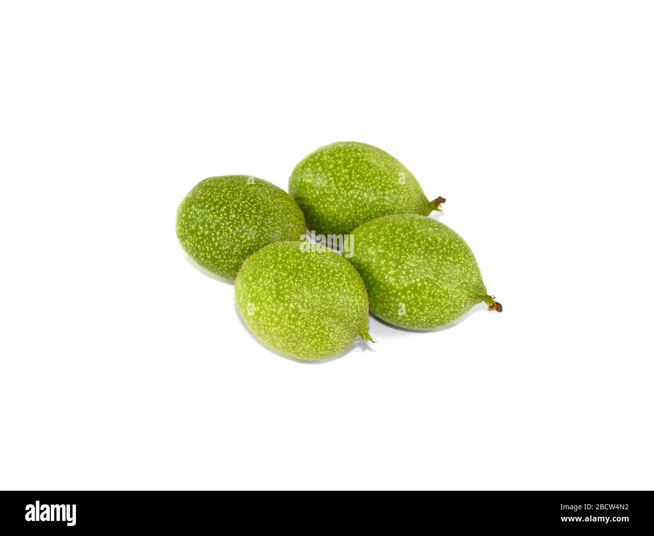 Walnut isolated on white background. Green young walnut. Nut in shell ...