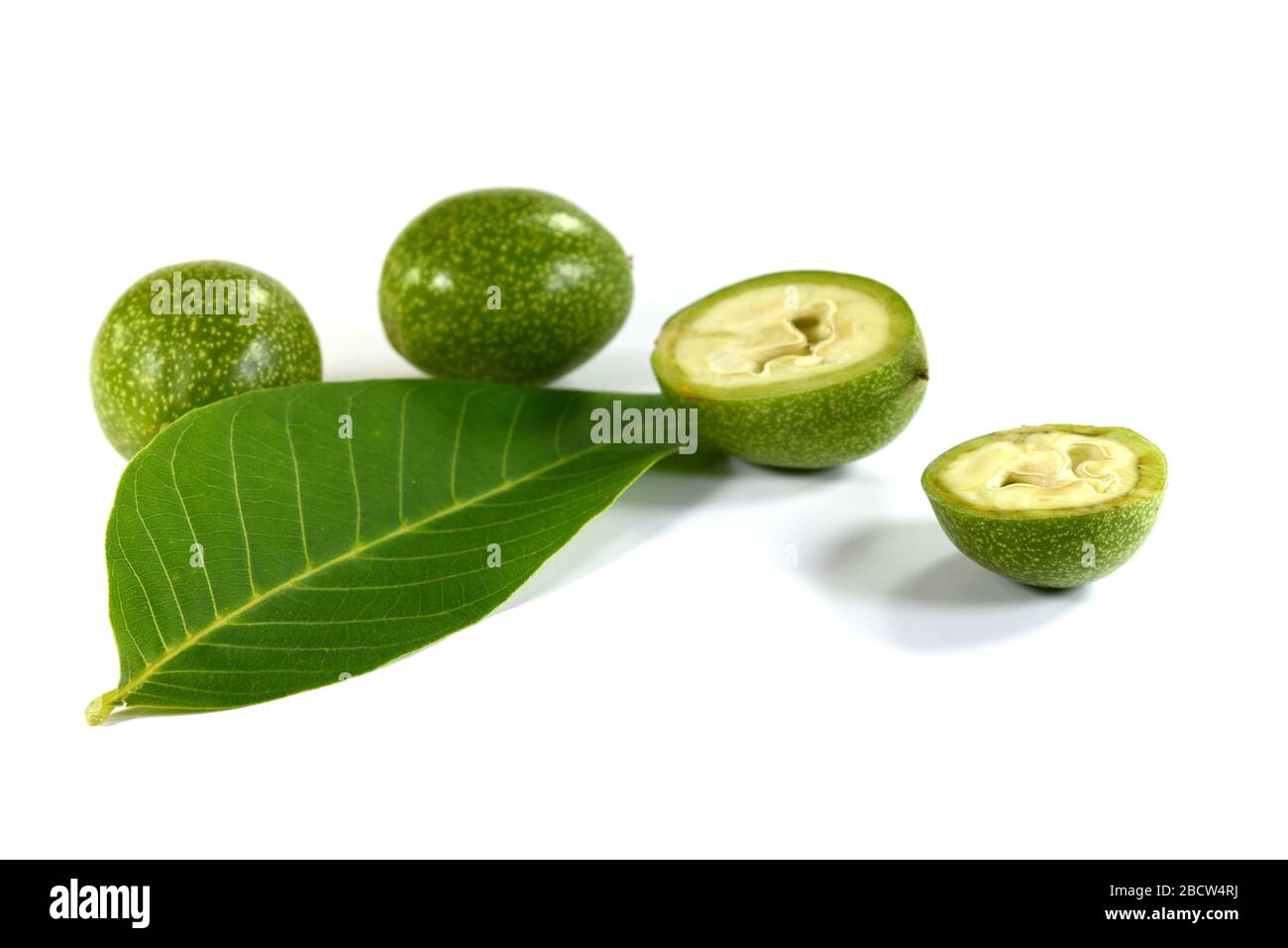 Walnut isolated on white background. Green young walnut. Nut in shell ...