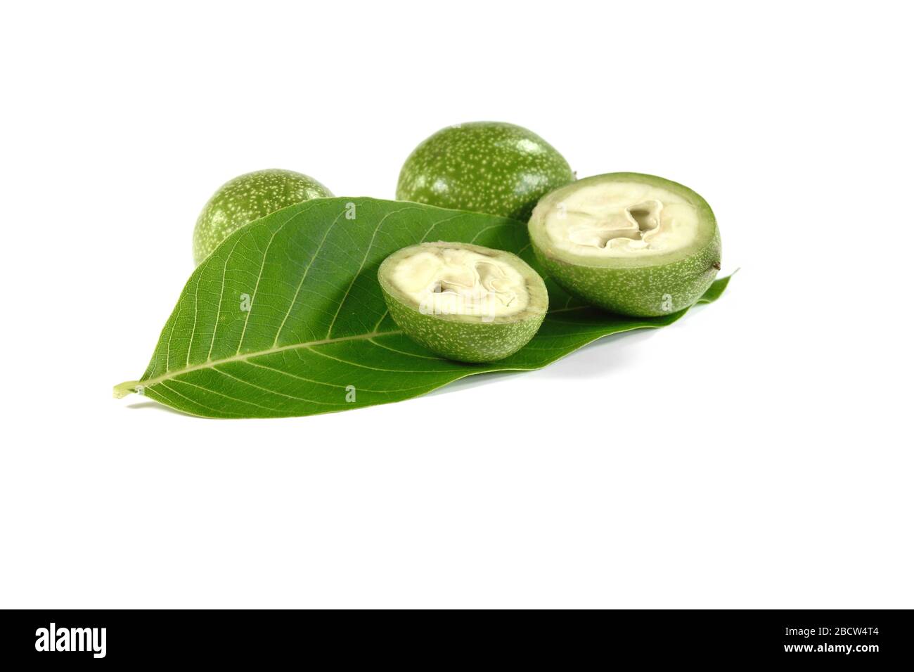 Walnut isolated on white background. Green young walnut. Nut in shell ...