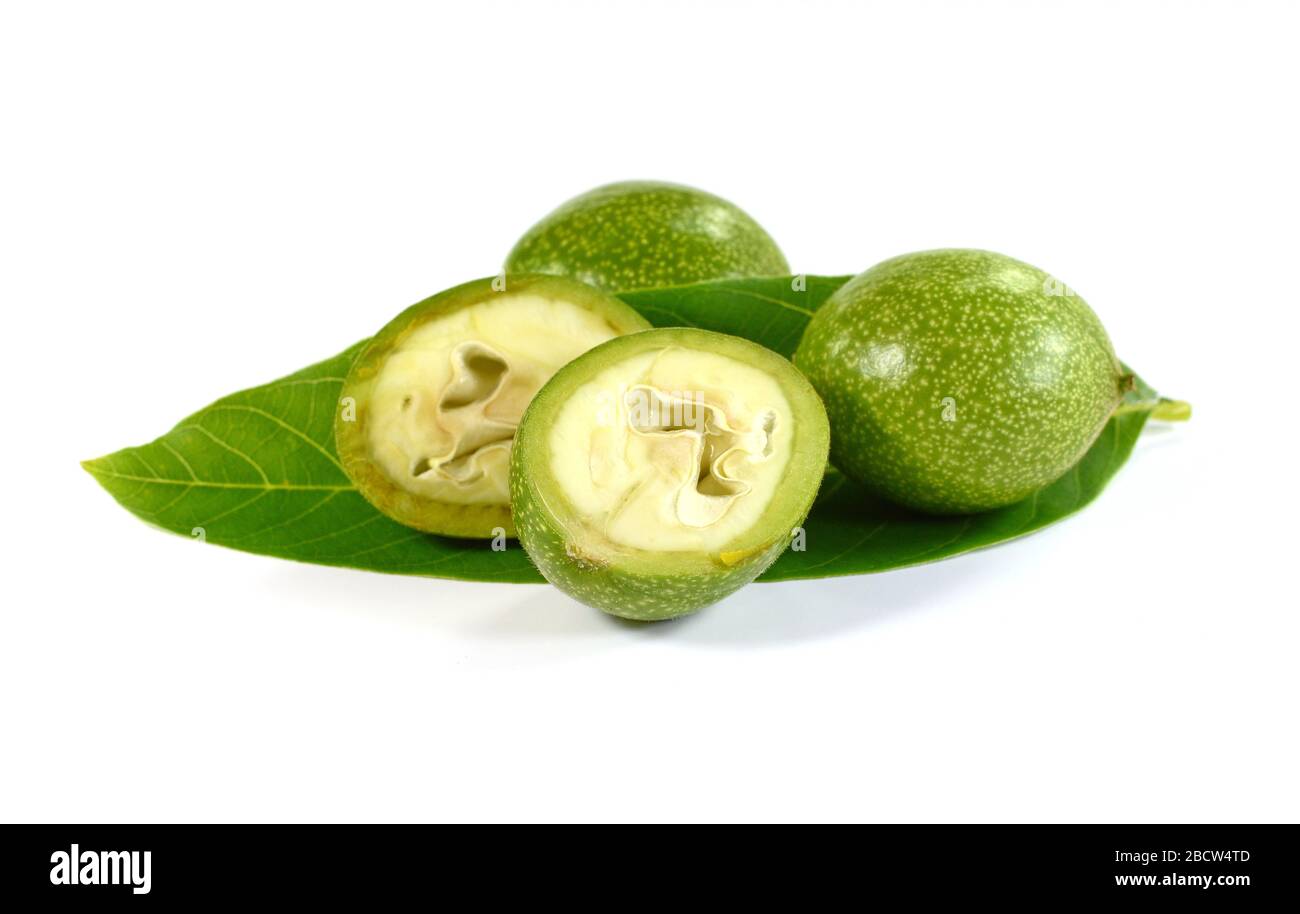 Walnut isolated on white background. Green young walnut. Nut in shell ...