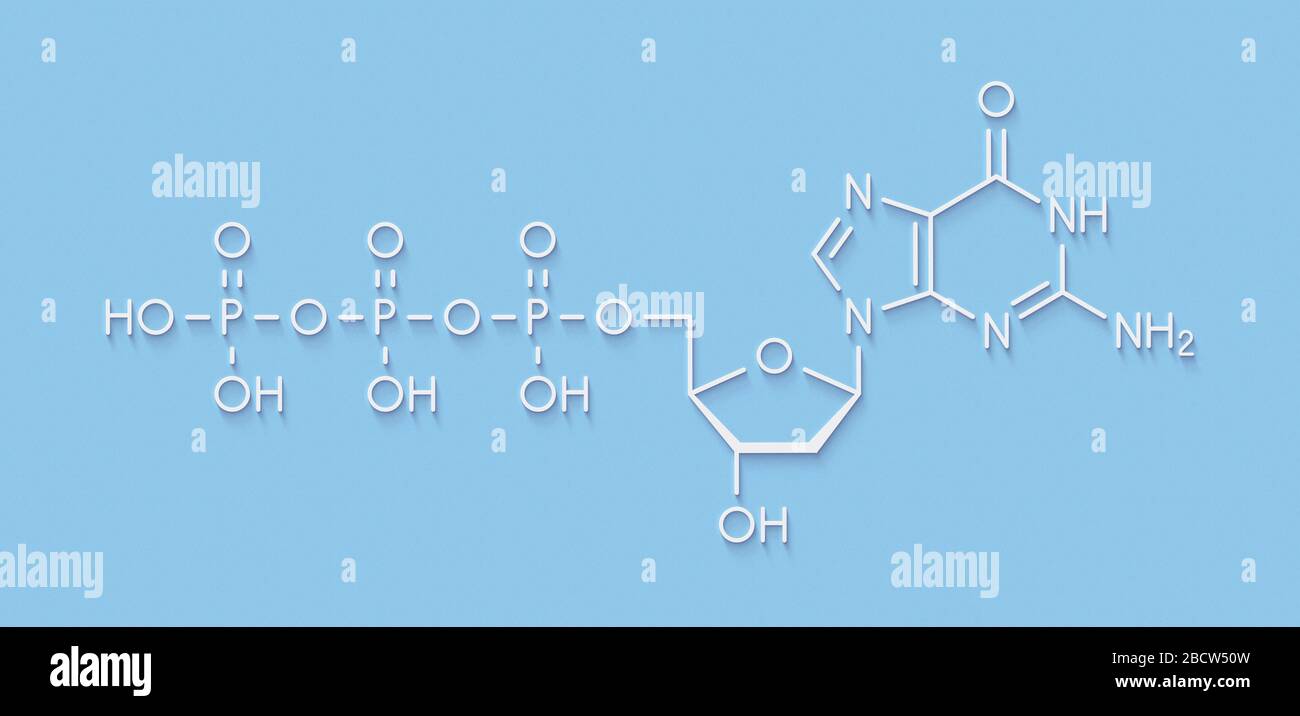 Deoxyguanosine triphosphate (dGTP) nucleotide molecule. DNA building ...