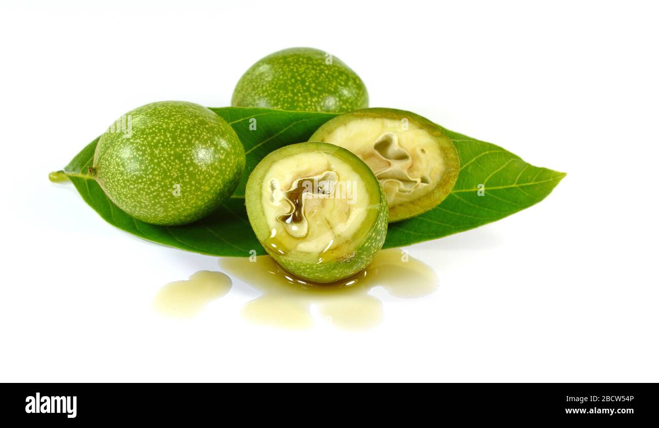 Walnut isolated on white background. Green young walnut. Nut in shell ...