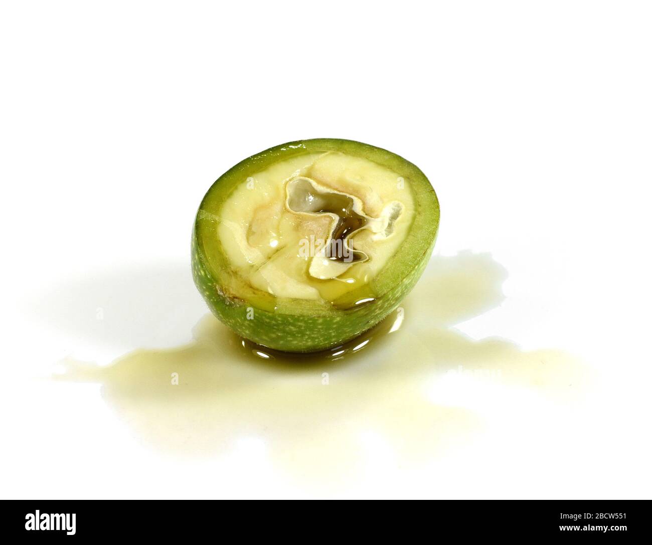 Walnut isolated on white background. Green young walnut. Nut in shell ...