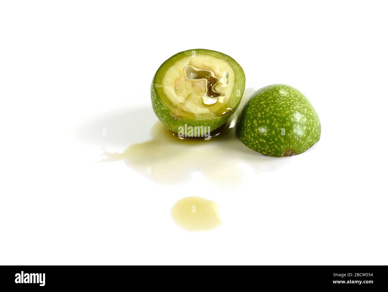 Walnut isolated on white background. Green young walnut. Nut in shell ...