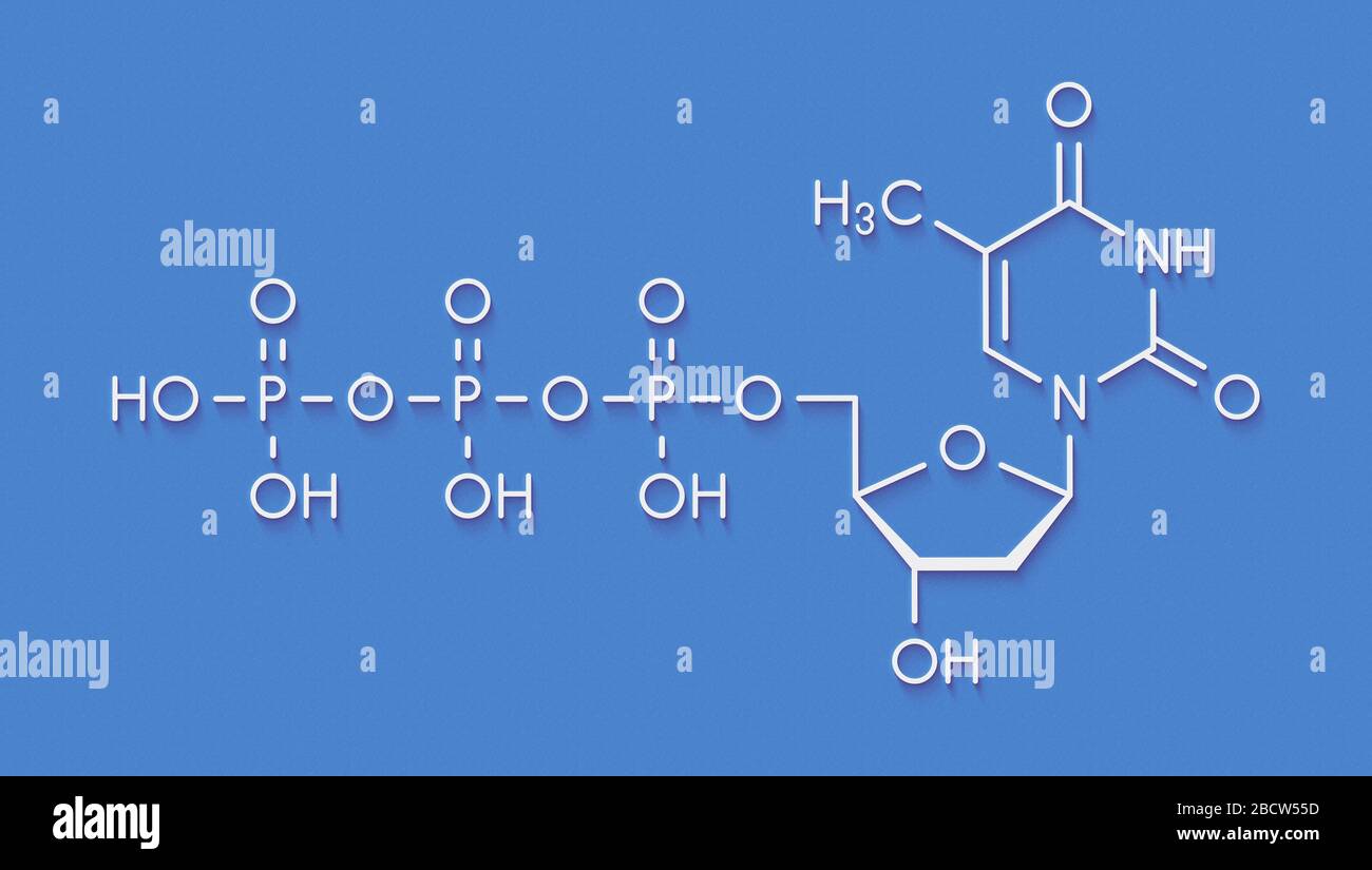Thymidine triphosphate hi-res stock photography and images - Alamy