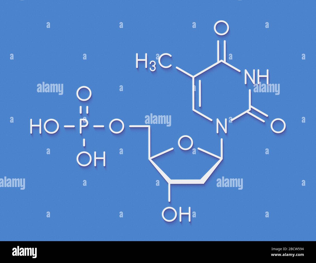 Thymidine Monophosphate Tmp Thymidylate Nucleotide Molecule Dna