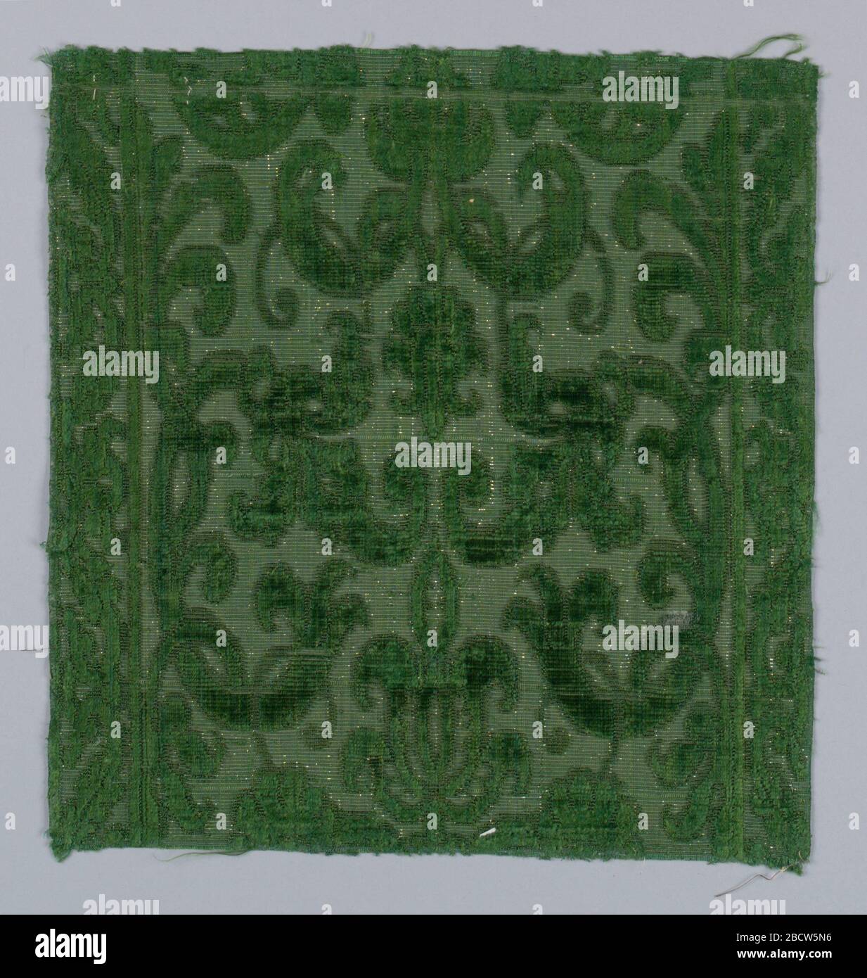 Fragment. Research in ProgressBorder fragment of dark green cut and ...