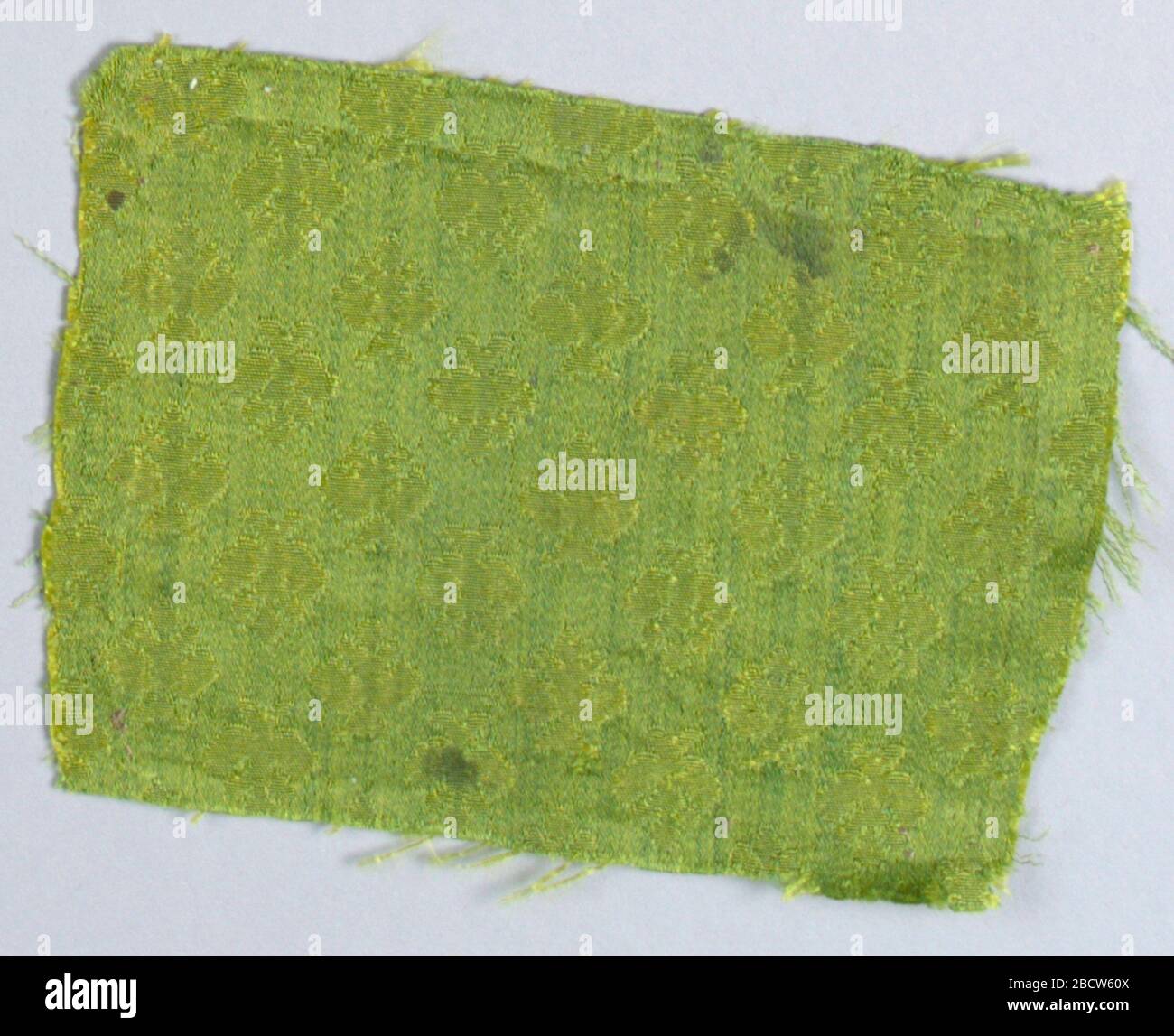 Fragment. Research in ProgressSmall detached leaves in olive green ...