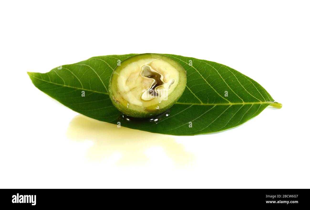 Walnut isolated on white background. Green young walnut. Nut in shell ...