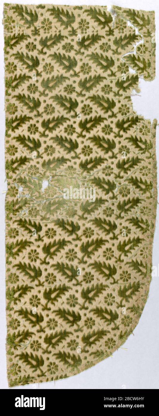 Fragment. Research in ProgressSprigs of large leaf and small flower in ...