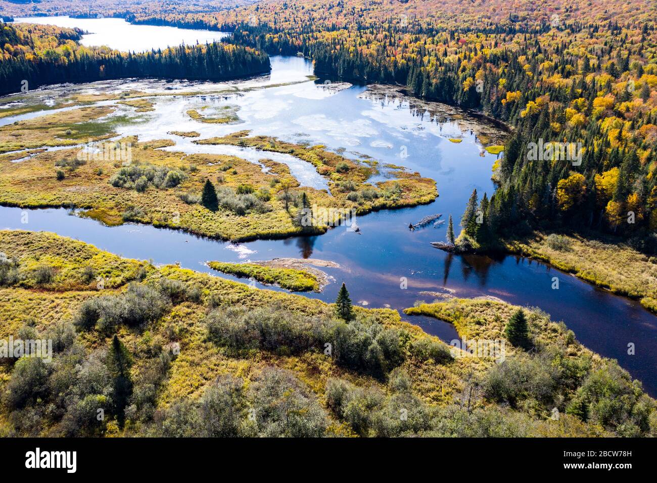 River forest aerial hi-res stock photography and images - Alamy