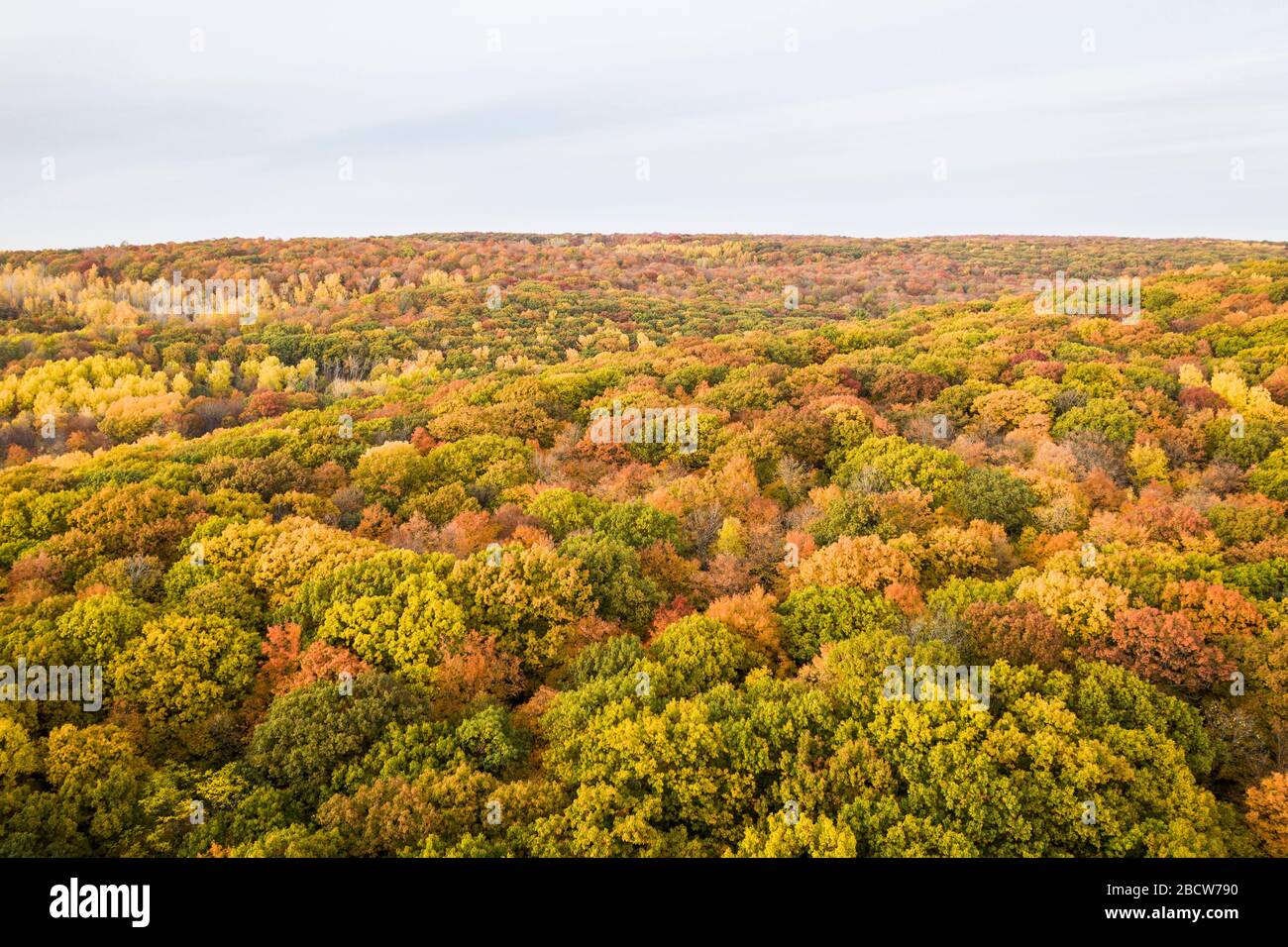 Autumn aerial landscape trees hi-res stock photography and images - Alamy