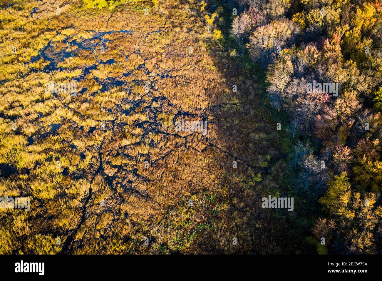 Beautiful mountain autumn forest above hi-res stock photography and ...