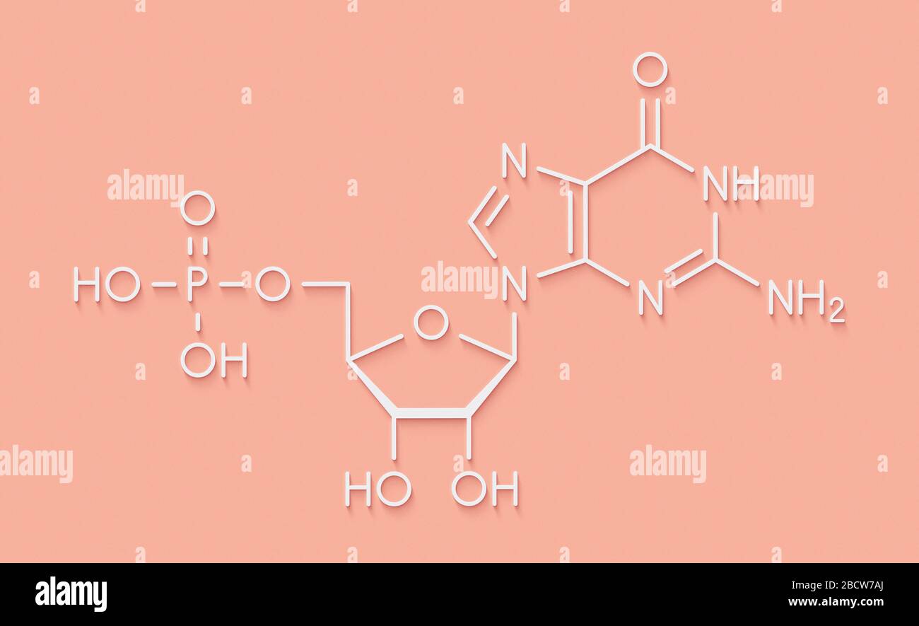 Guanosine monophosphate (GMP, guanylic acid) RNA building block ...