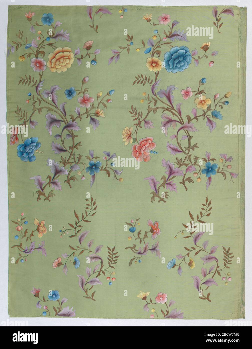 Fragment. Research in ProgressTrailing branch, flower and leaf forms in ...