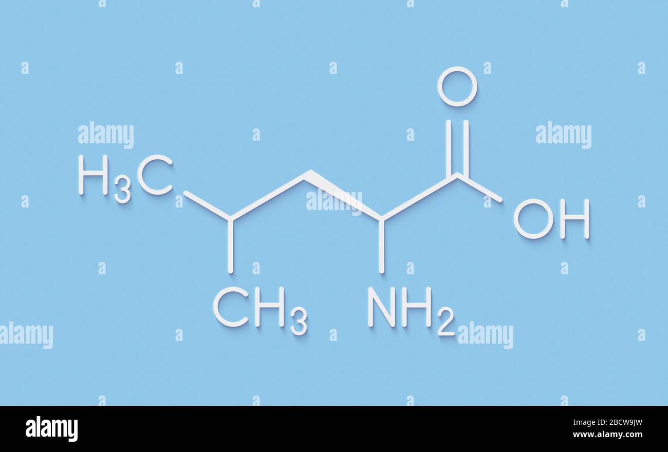 Leucine (l-leucine, Leu, L) amino acid molecule. Skeletal formula Stock ...