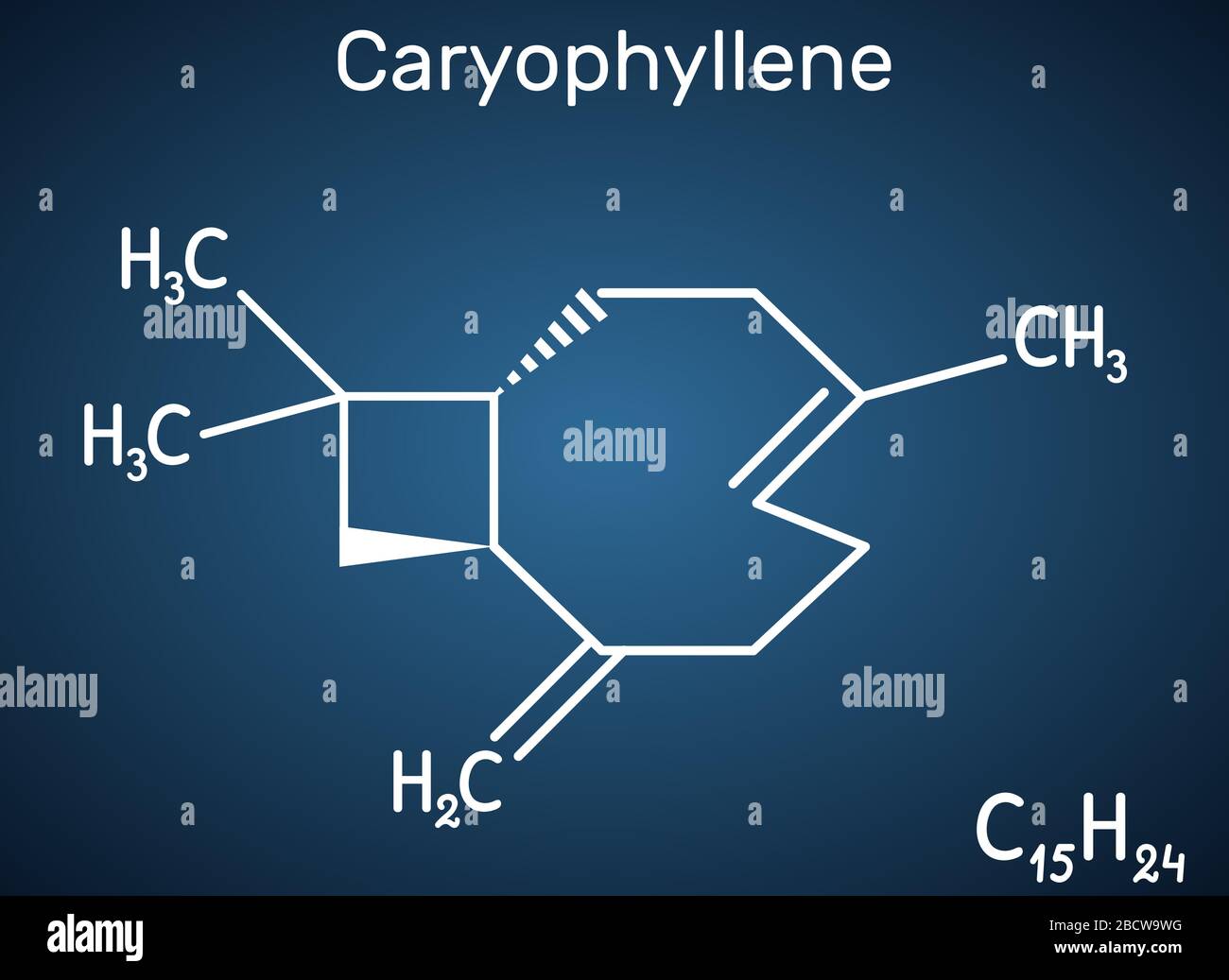 Beta caryophyllen hi-res stock photography and images - Alamy