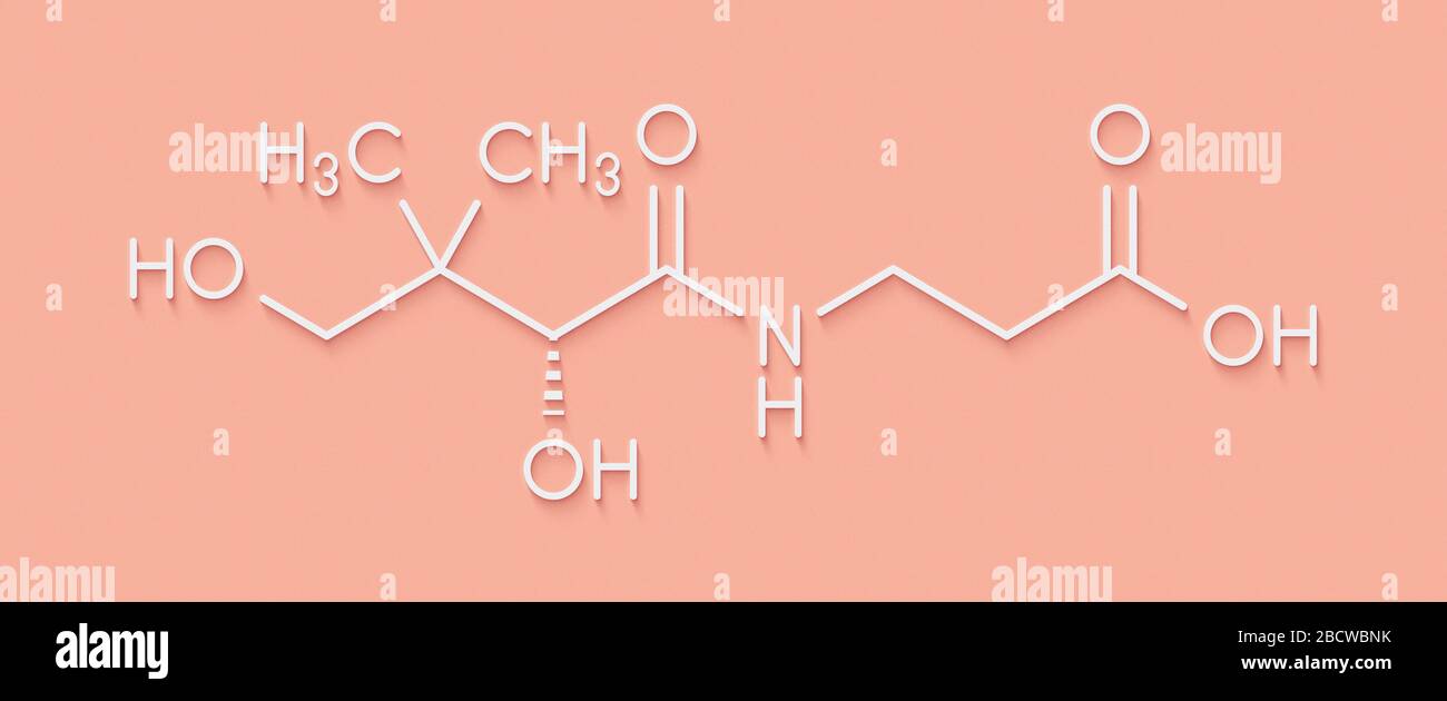 Vitamin B5 (pantothenic acid, pantothenate) molecule. Skeletal formula ...
