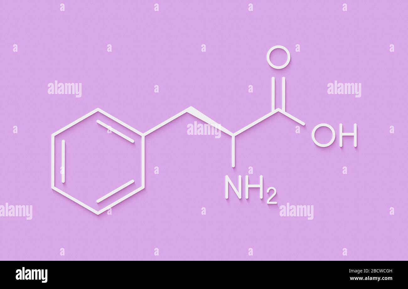 Phenylalanine (L-phenylalanine, Phe, F) amino acid molecule. Skeletal ...