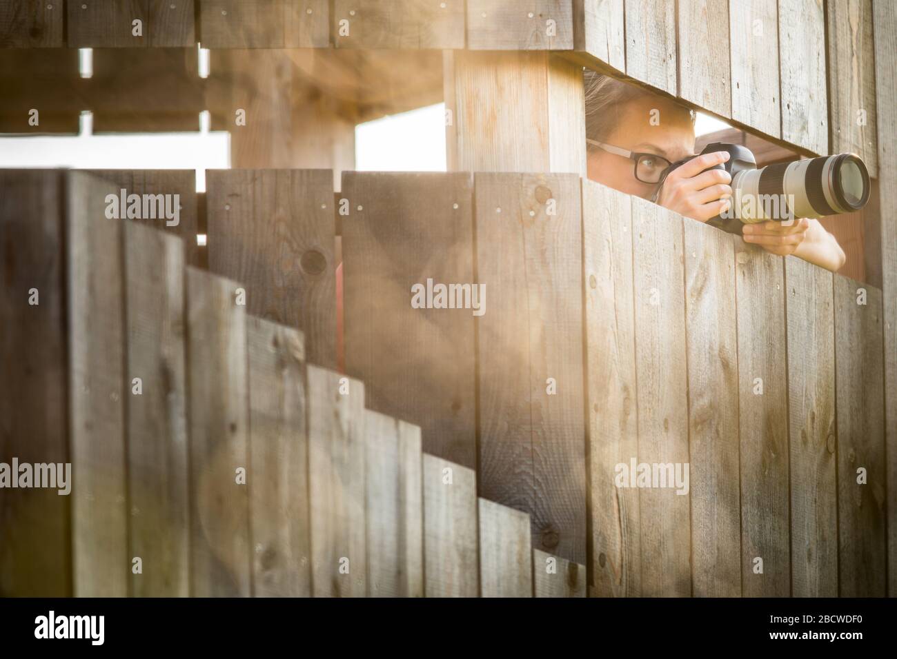 Pretty, female photographer in a hide shooting with her fast aperture ...