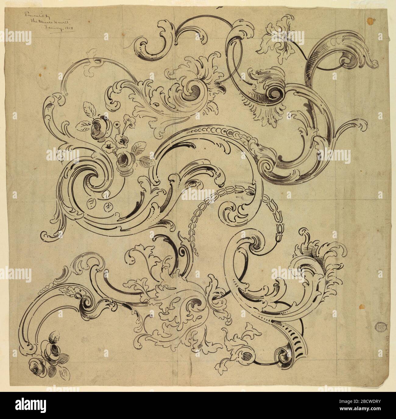 Acanthus Scroll Wallpaper
