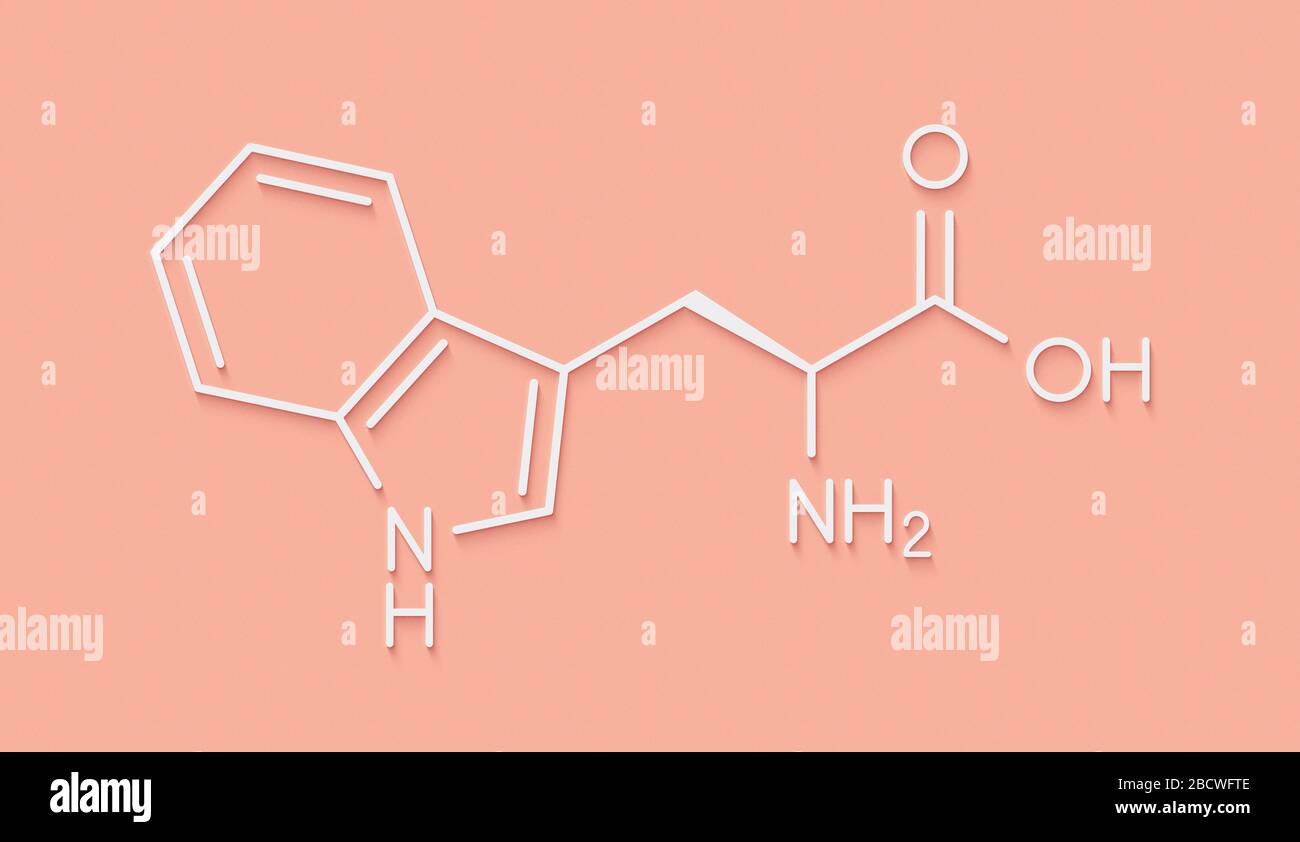 Tryptophan (l-tryptophan, Trp, W) amino acid molecule. Skeletal formula ...