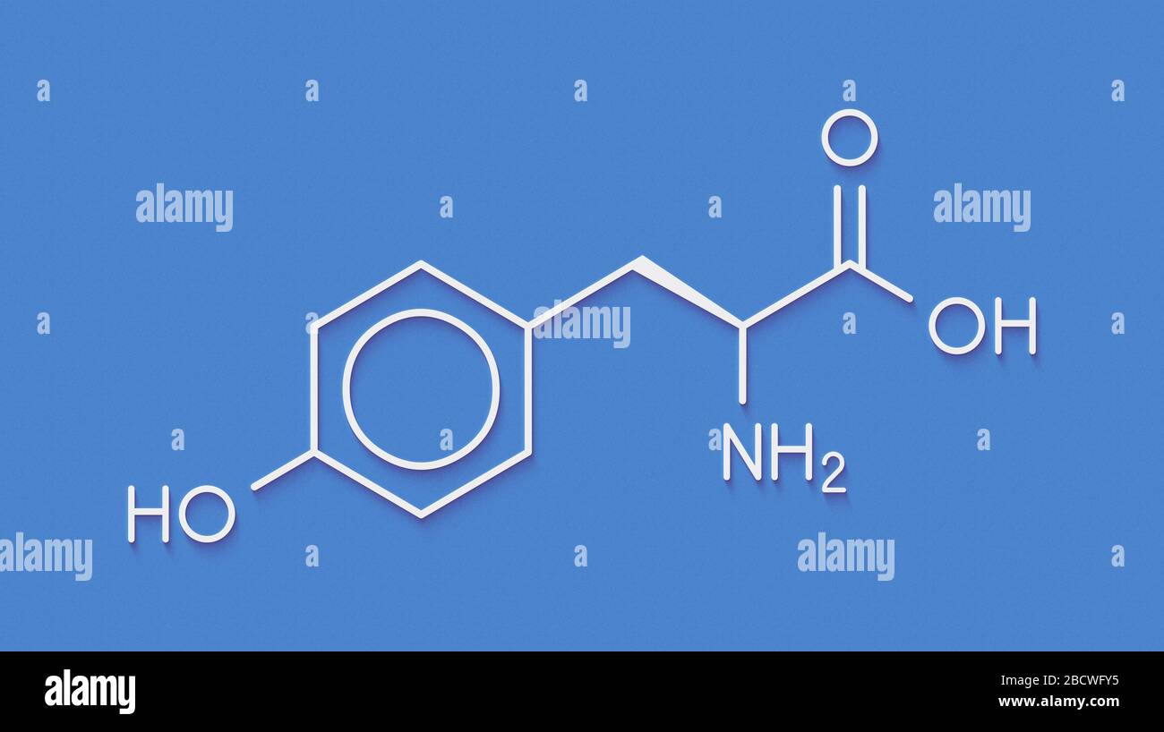 Tyrosine (l-tyrosine, Tyr, Y) amino acid molecule. Skeletal formula ...