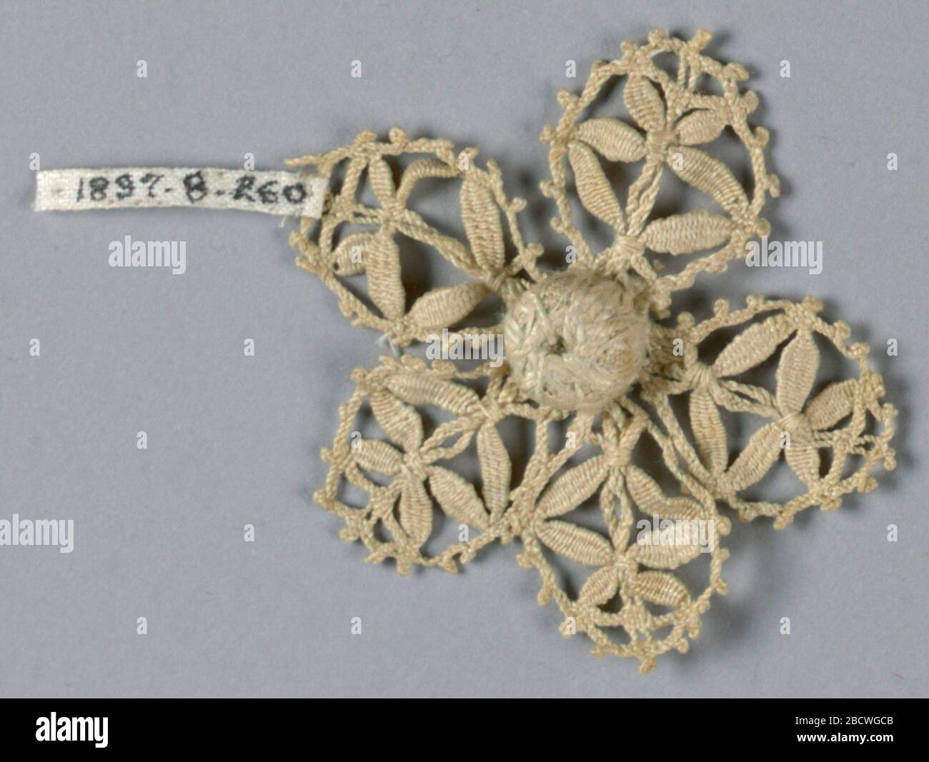 Fragment. Research in ProgressFragment in a pattern of a small flower ...