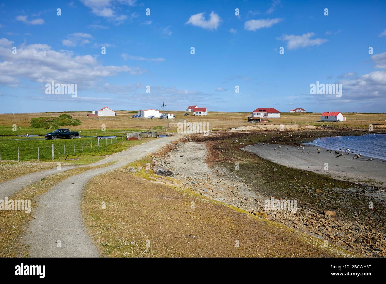 Falklands islands hi-res stock photography and images - Alamy