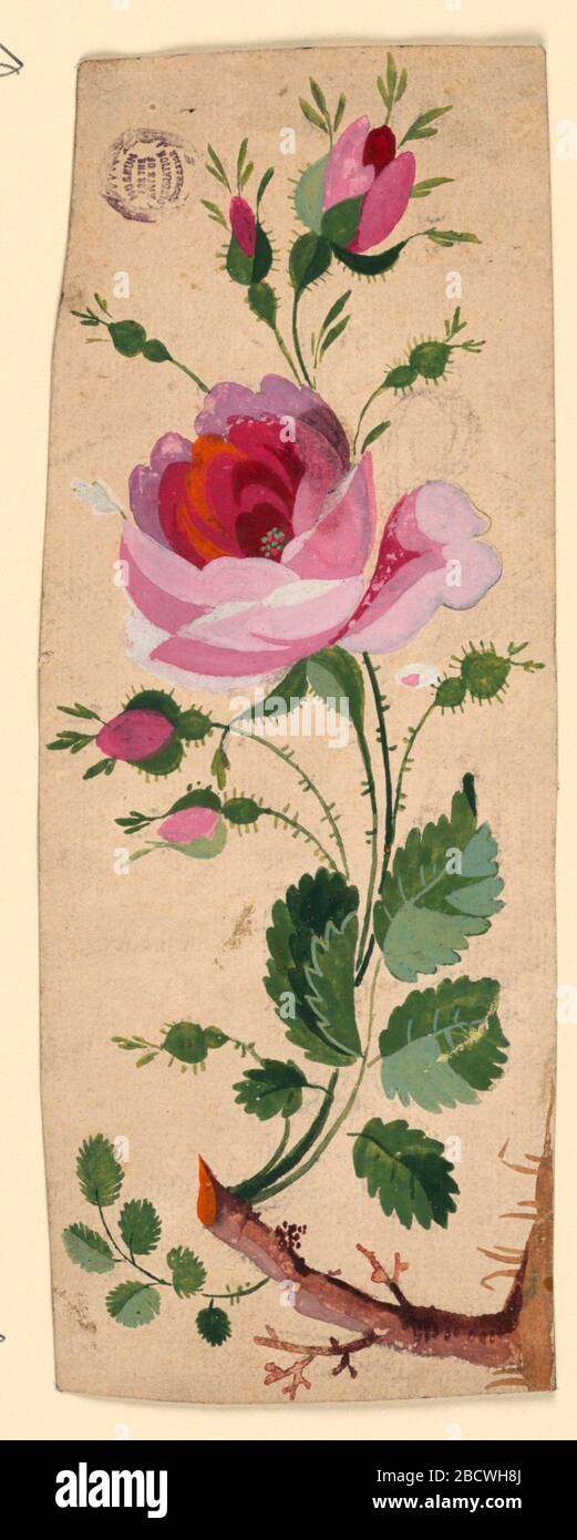 Design for an Embroidered Motif. Research in ProgressRose boughs grow ...