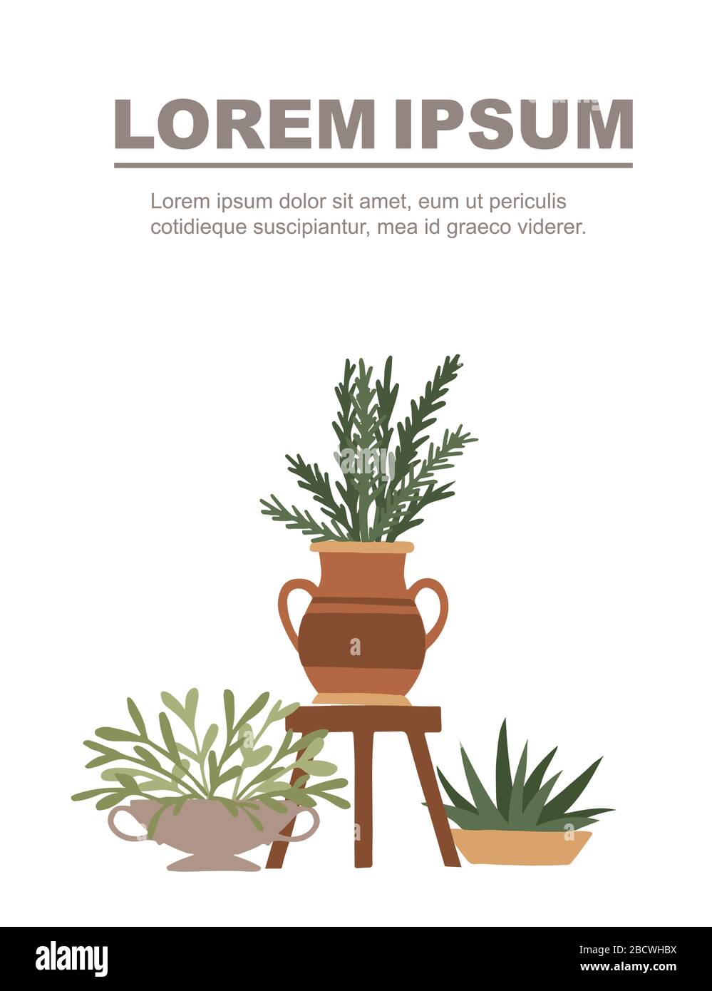Home decorative and outdoor garden plants in pots set green plants flat ...