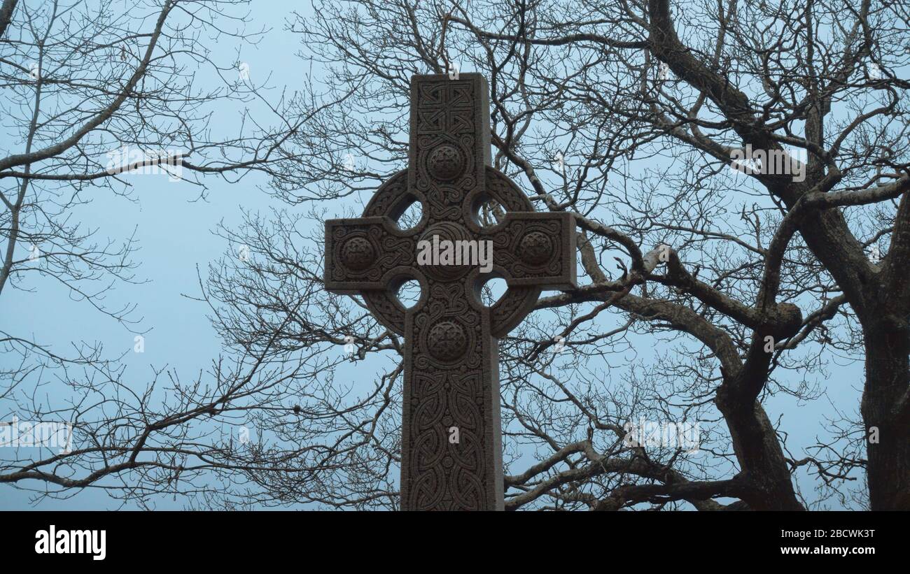 Myterious trees and a crucifix in the mist - creepy scary picture ...