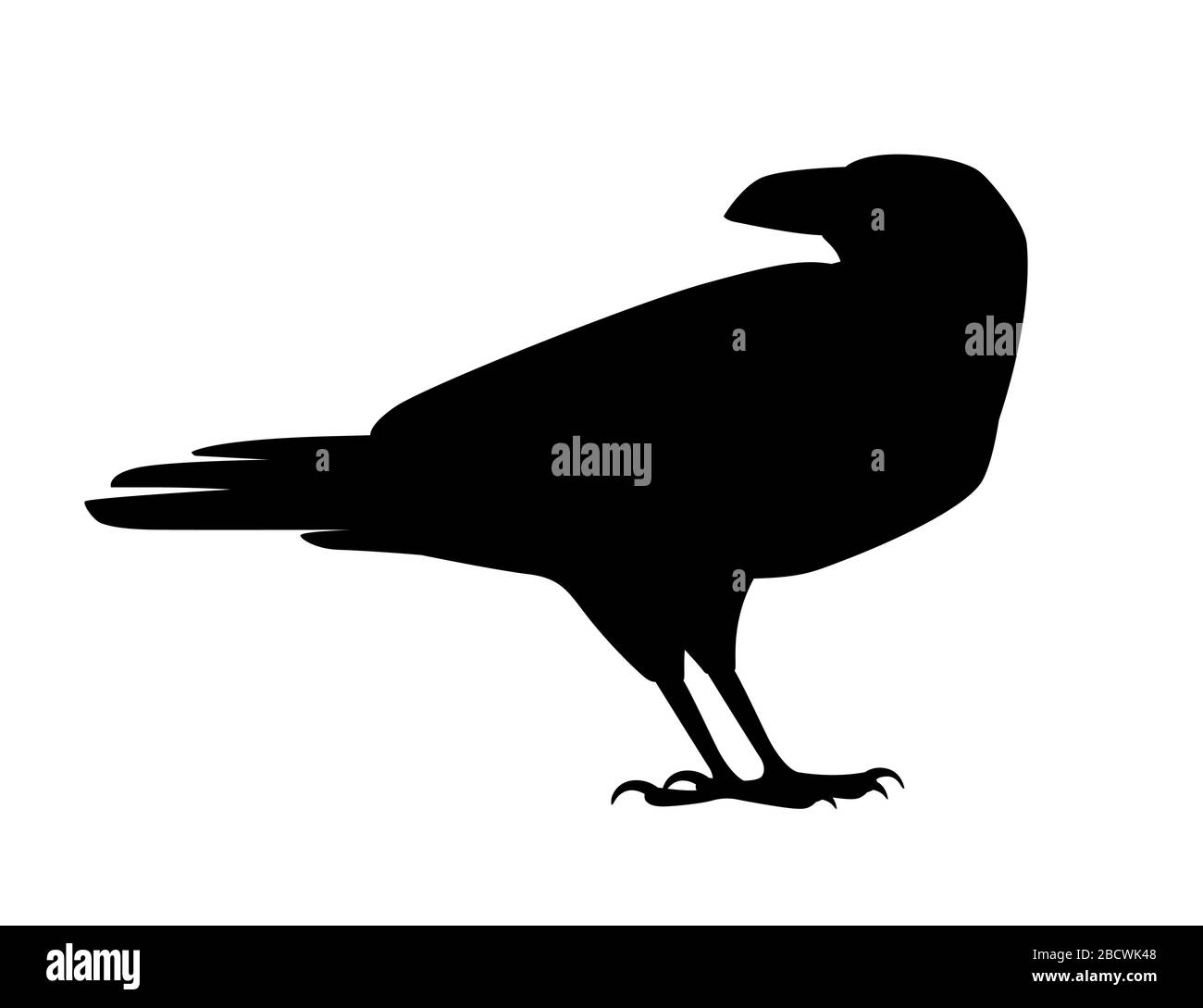 Black silhouette raven bird cartoon crow design flat vector animal ...