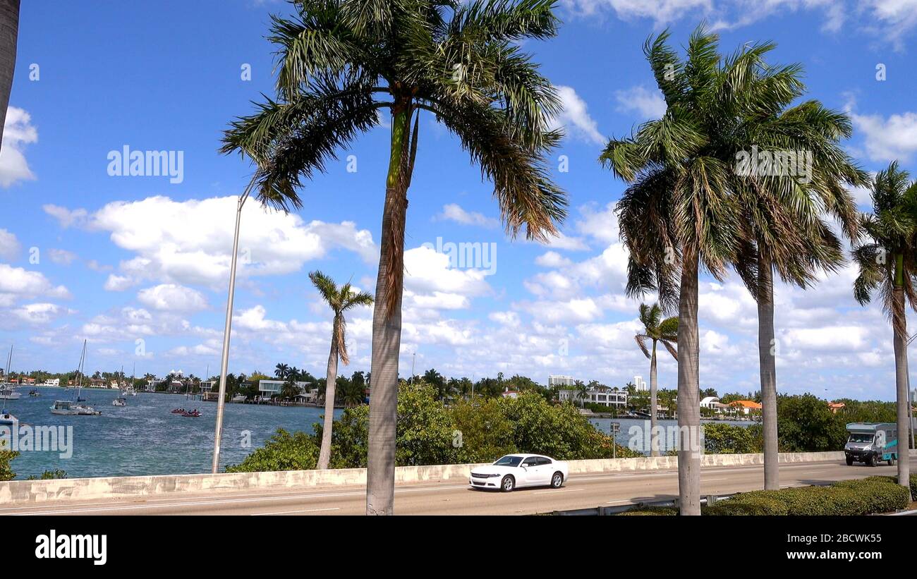 Palm Trees on Bridge to Miami Beach - MIAMI, USA APRIL 10, 2016 Stock ...