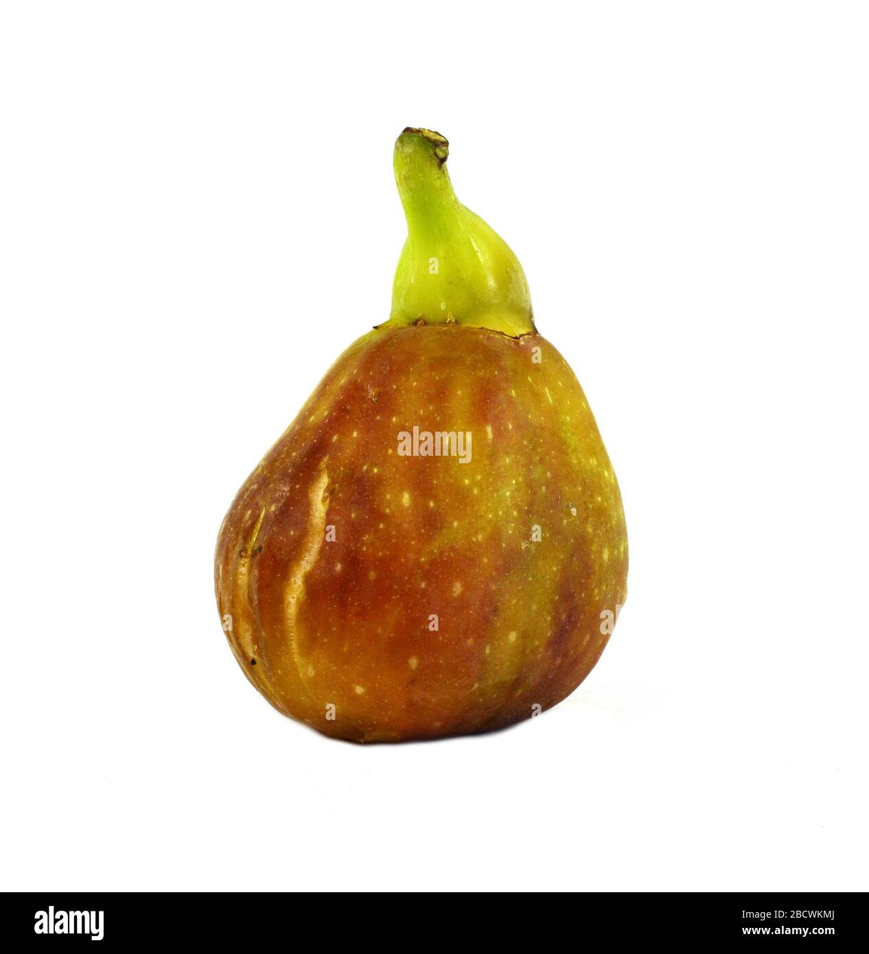 fresh fig isolated on white background Stock Photo - Alamy