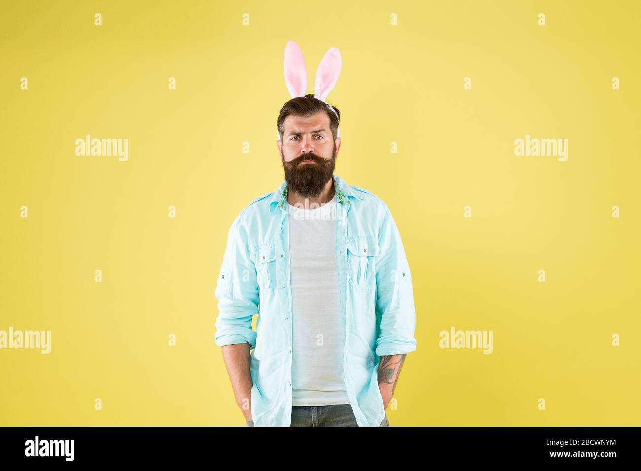 Difference Between Rabbits and Hares. Male rabbit personality traits ...