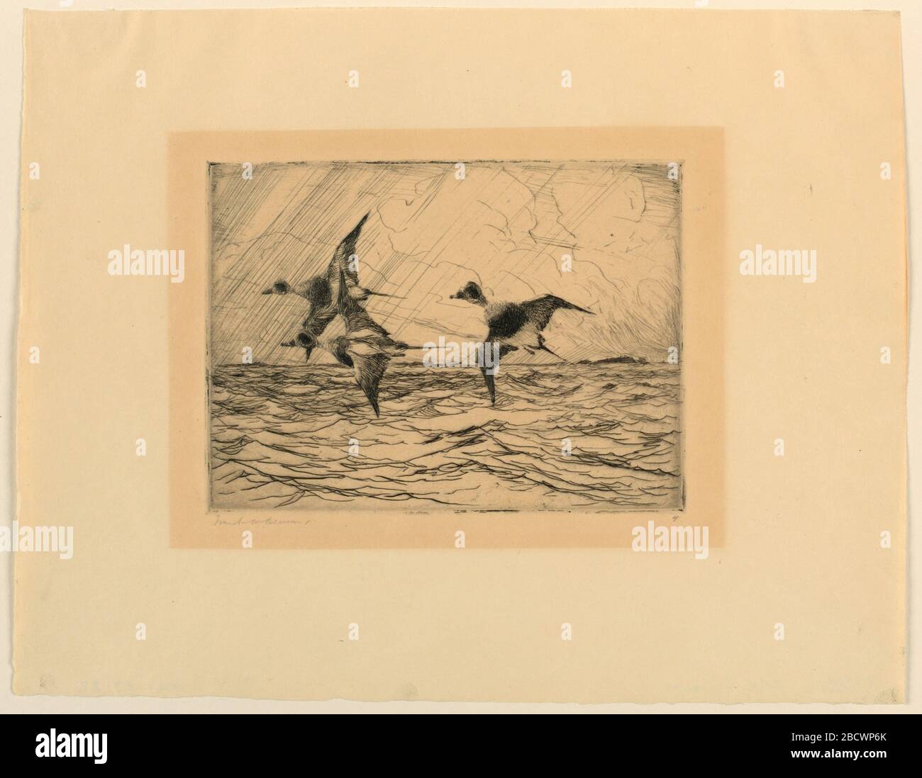 Old squaws hi-res stock photography and images - Alamy