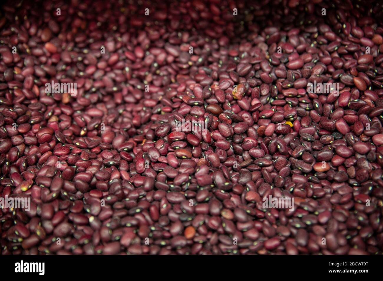 A bunch of red organic kidney beans Stock Photo - Alamy
