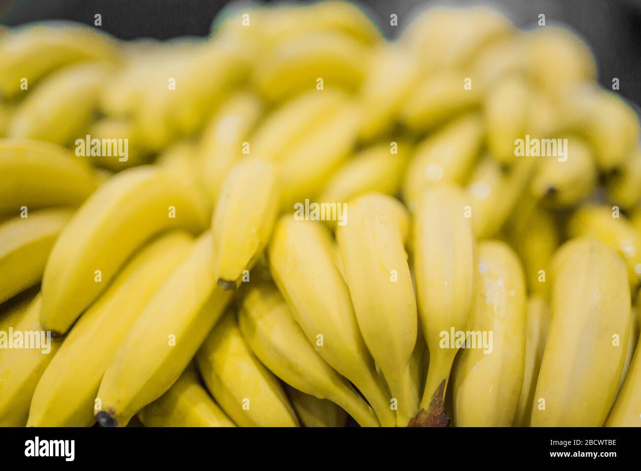 Bunch of yellow bananas in supermarket. Fresh and healthy. Shallow ...