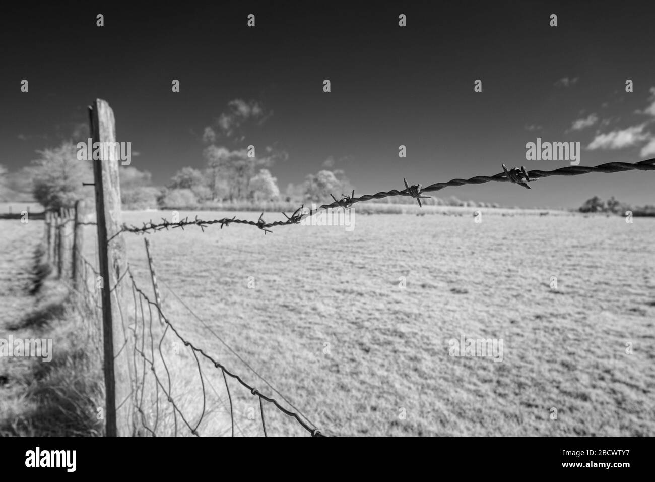 A barbed wire fence around a field. Infrared image (720nm), UK Stock ...