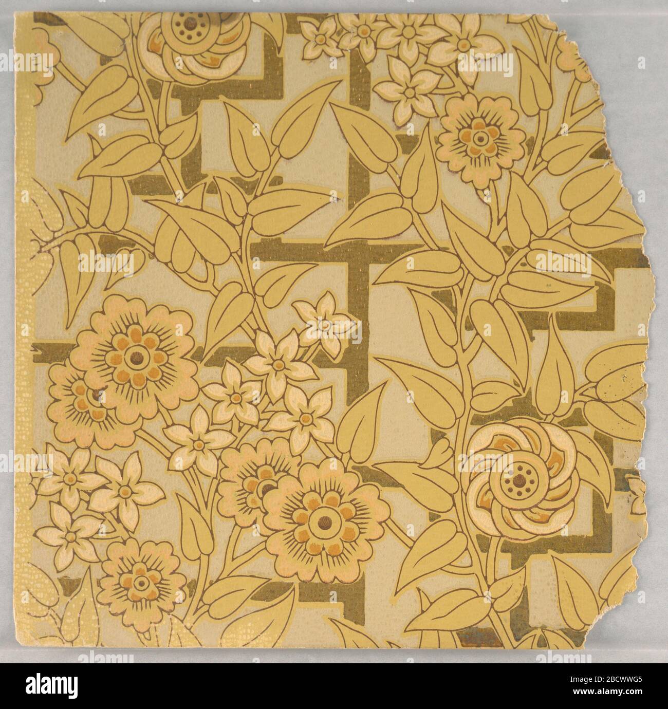 Sidewall sample. Research in ProgressFragmentary wallpapers from sample ...