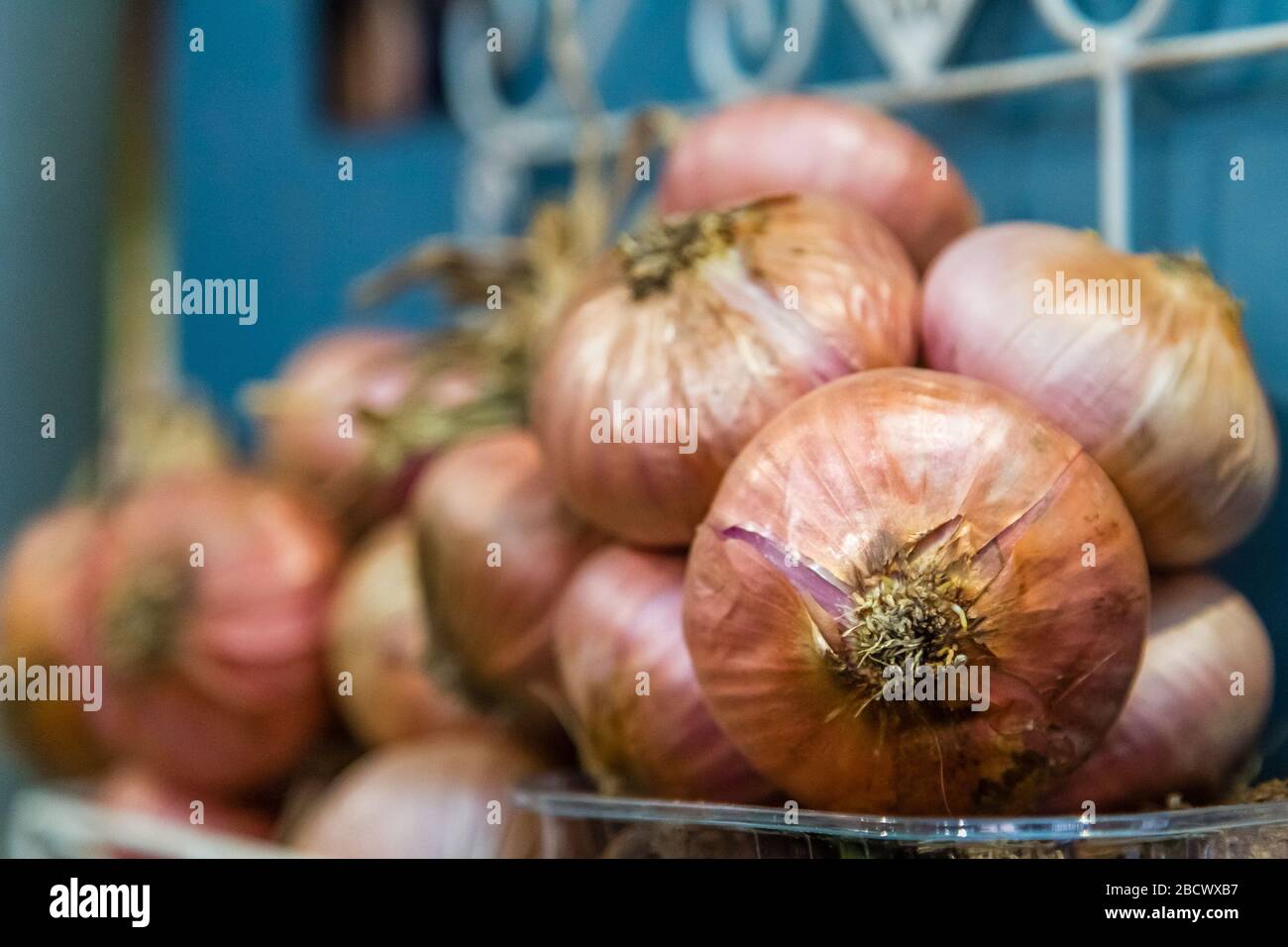 Tropea onion hi-res stock photography and images - Alamy