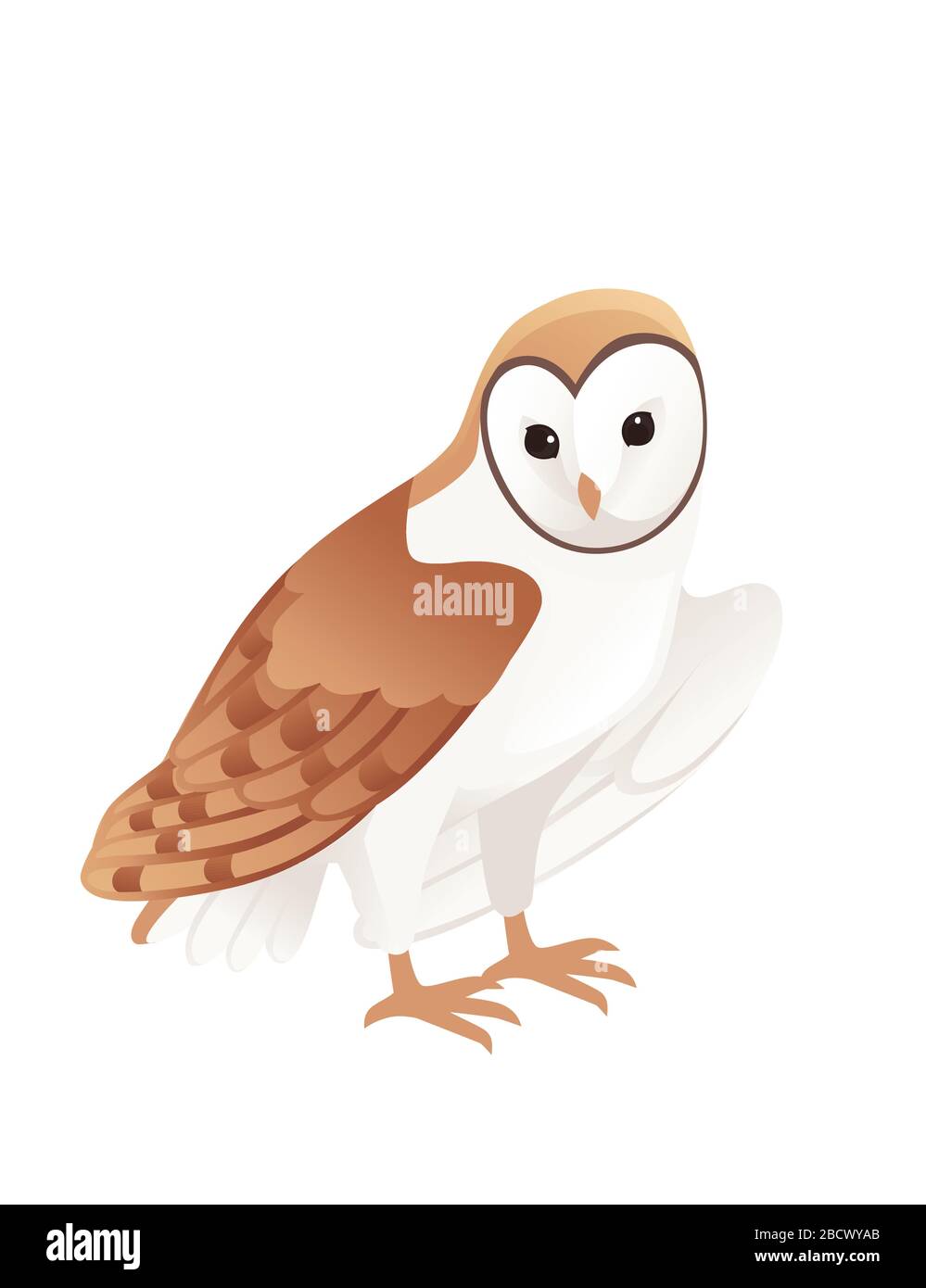 Barn Owl Cartoon