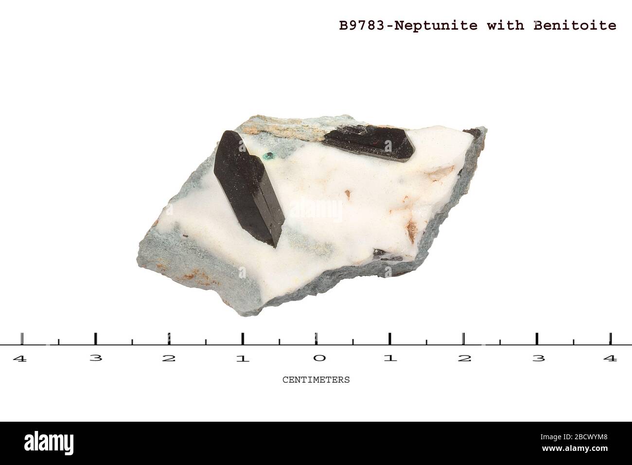 Neptunite hi-res stock photography and images - Alamy