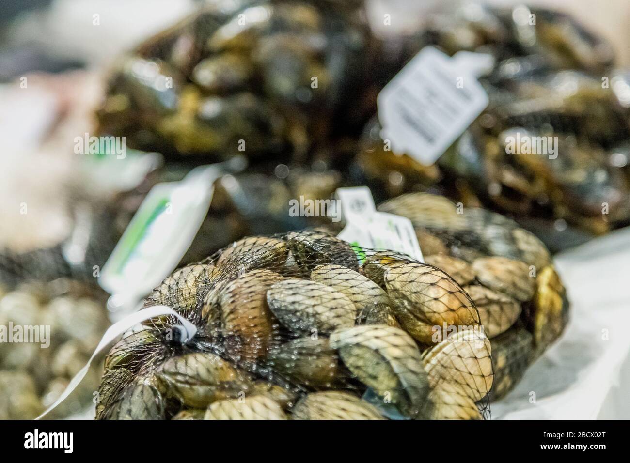 closeup of fresh clams in bags Stock Photo - Alamy