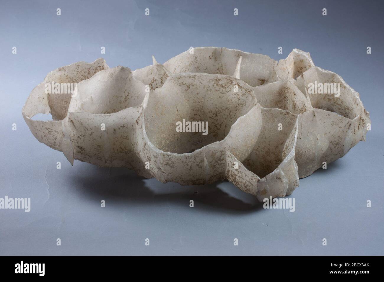 Septarian nodule hi-res stock photography and images - Alamy