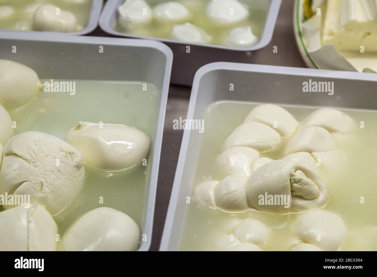 closeup of fresh mozzarella cheese Stock Photo - Alamy