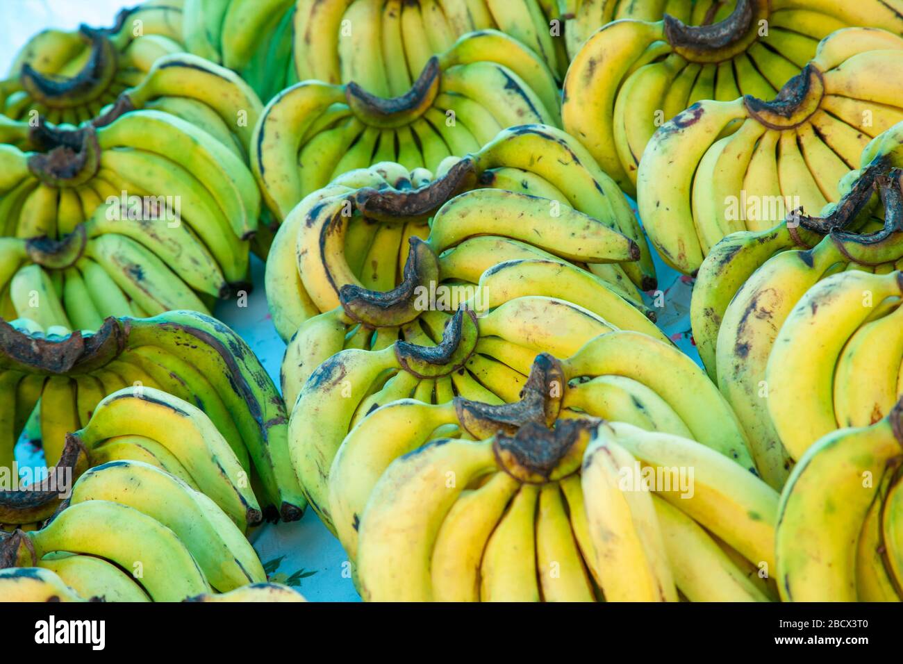 Naturally ripened bananas for sale in an open-air Costa Rican Farmer's ...