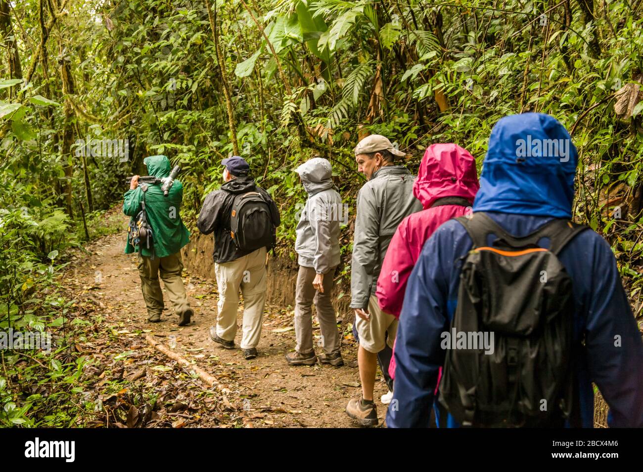 Monteverde Sky Walk in Monteverde National Park, Costa Rica. Tourists ...