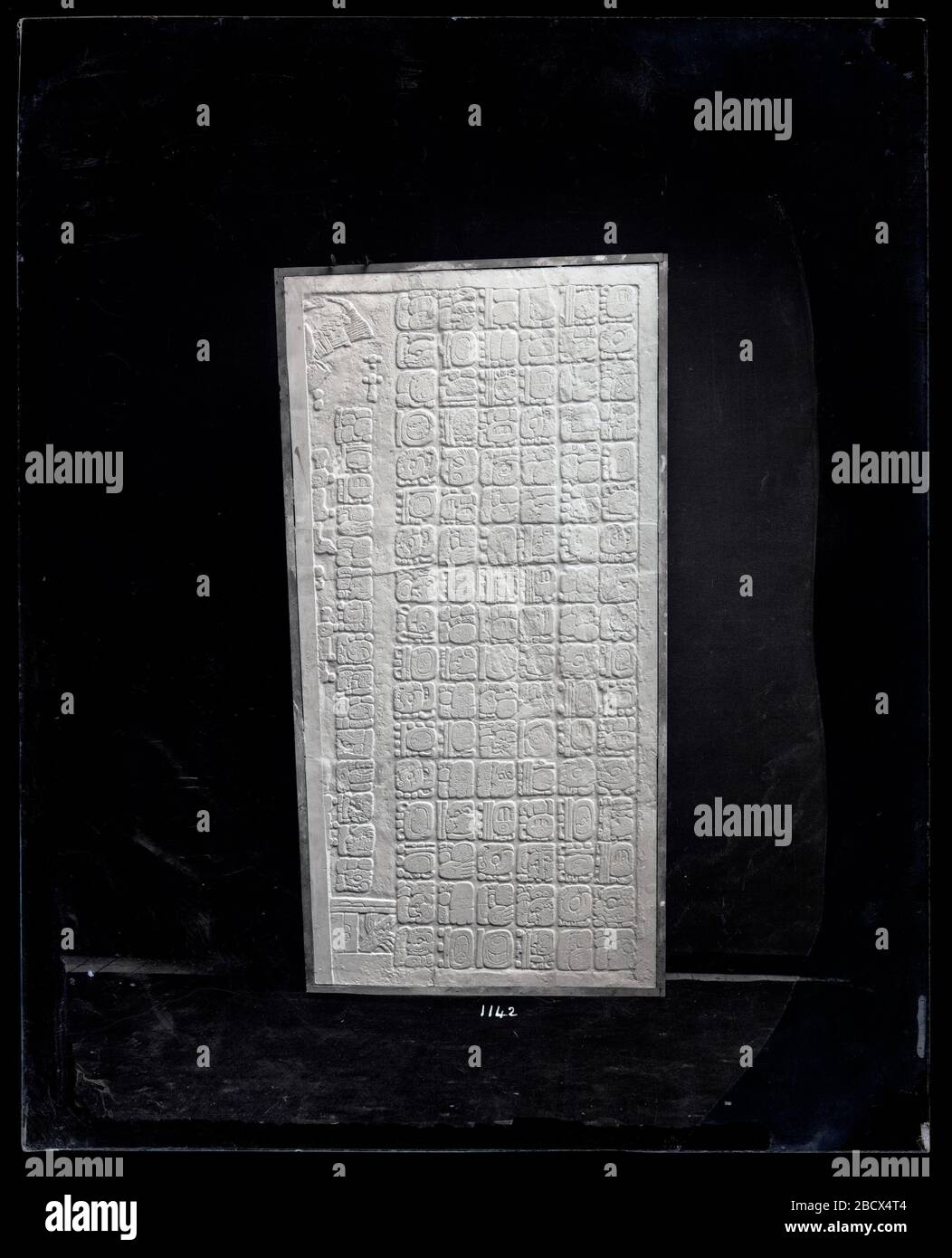 Cast of Palenque Tablet. Also known as 1142.See also Record Unit 95 ...